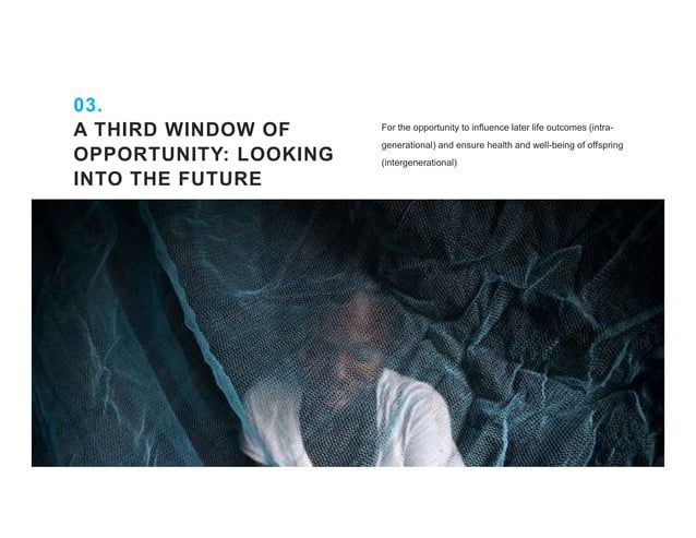 ADOLESCENCE – THREE WINDOWS OF OPPORTUNITY | PDF