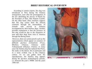 Peruvian Hairless Dog Lecture 2007 | PPT