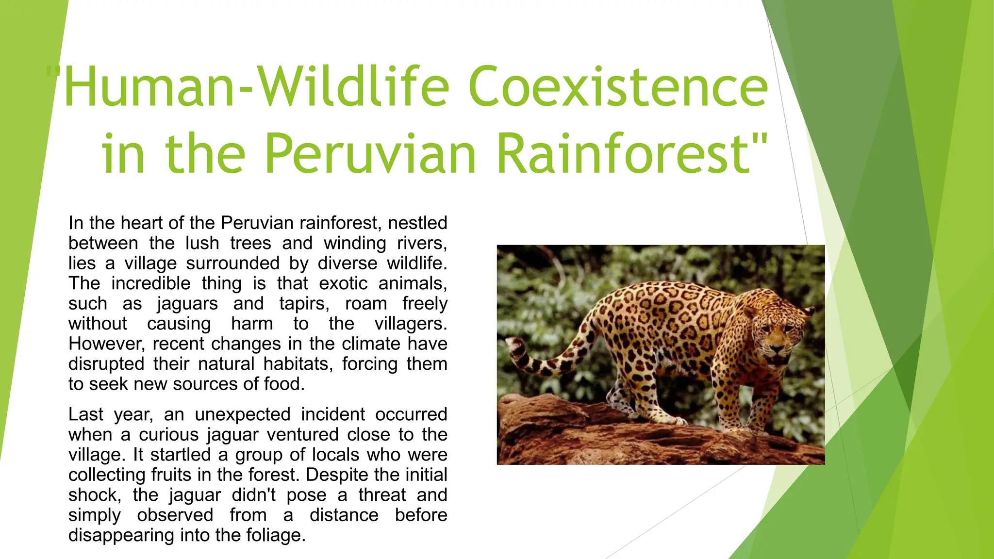 Human-Wildlife Coexistence in the Peruvian Rainforest | PPT