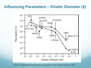 Membranes for Pervaporation | PDF