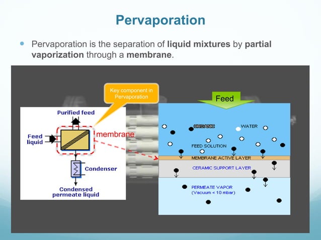 Membranes for Pervaporation | PDF | Chemistry | Science