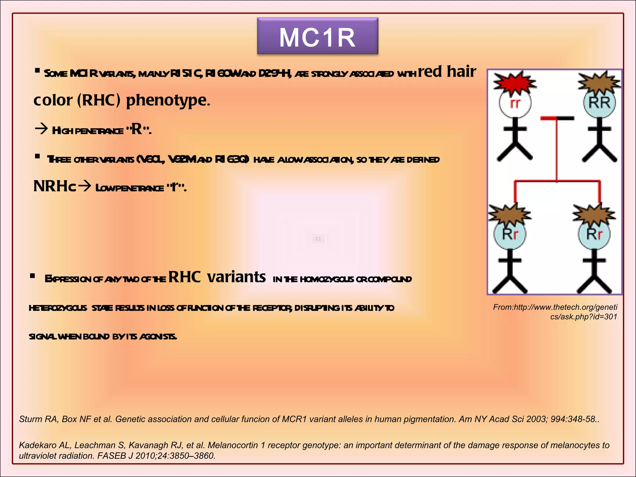 Melanoma epidemiology, etiopathogenesis and prevention - Professor ...
