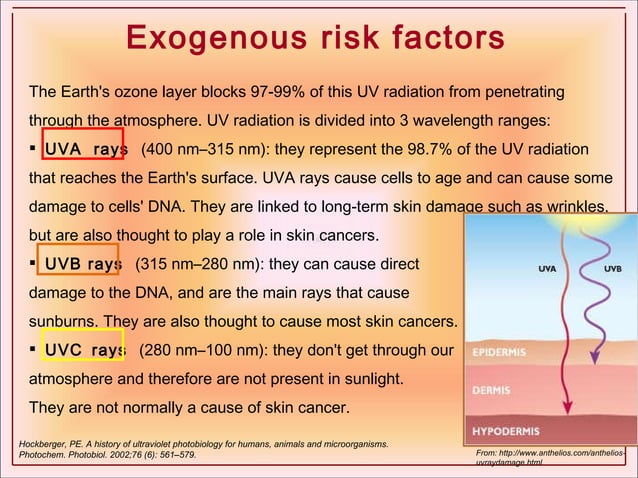 Melanoma epidemiology, etiopathogenesis and prevention - Professor ...