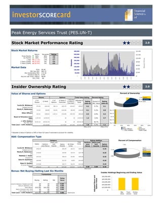 Peak Energy Services v1 | PDF