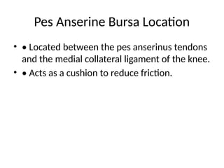 Pes_Anserine1_Bursitis_Presentation.pptx