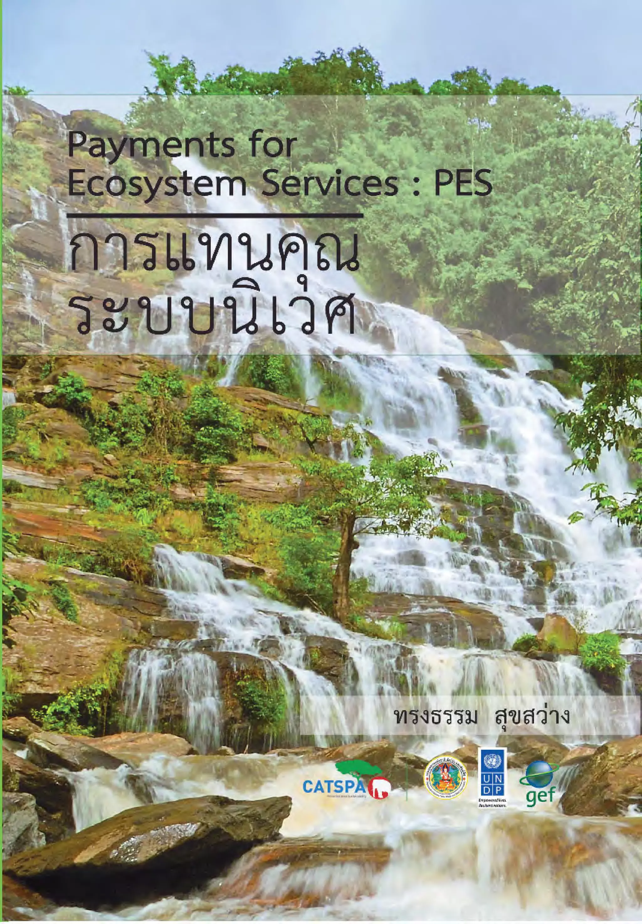 PES book | PDF