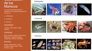 Pescados y mariscos 1 | PPSX
