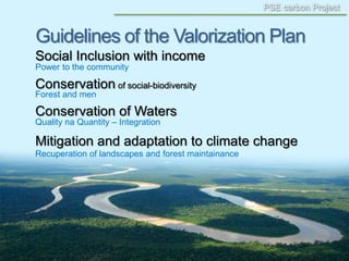 Pes Carbon Project Presentation | PPTX