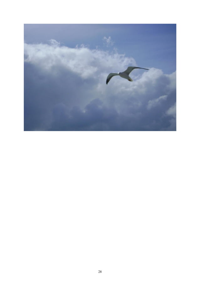 Pescarusul Jonathan Livingston - Richard Davis Bach | PDF
