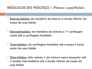 aula de anatomia 1 Pescoço-músculos.pptx