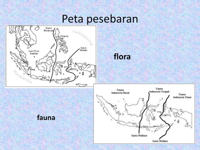 Pesebaran flora dan fauna aslap | PPT