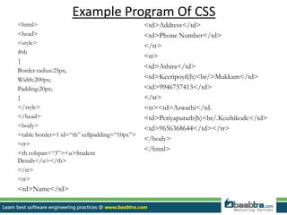 css.ppt