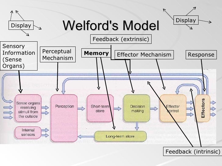 PEShare.co.uk Shared Resource