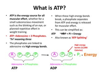 PEShare.co.uk Shared Resource | PPT