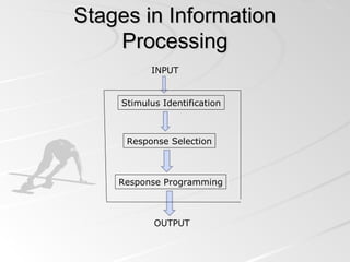 PEShare.co.uk Shared Resource | PPT | Artificial Intelligence ...