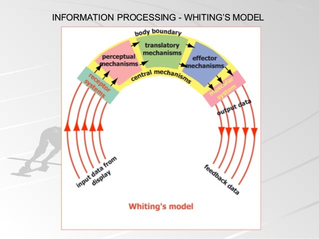 PEShare.co.uk Shared Resource