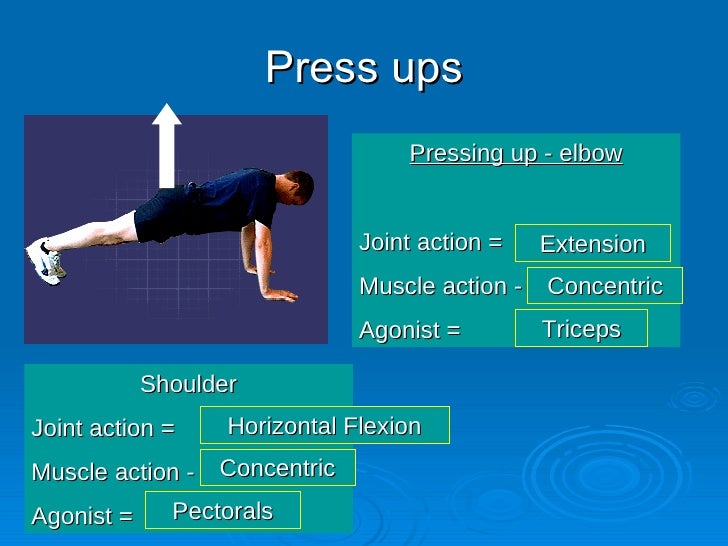 PEShare.co.uk Shared Resource