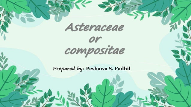 asteraceae or compositae family some slide by: Peshawa Barwary | PPT