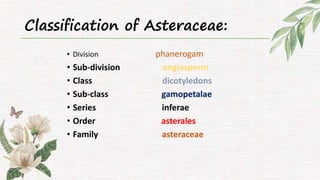 asteraceae or compositae family some slide by: Peshawa Barwary | PPTX