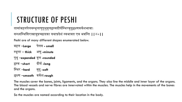 PESHI SHARIR rachna sharira anatomy.pptx