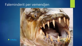 Peshqit D.Bushaj | PPTX