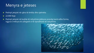 Peshqit D.Bushaj | PPTX