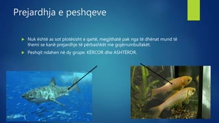 Peshqit D.Bushaj | PPTX