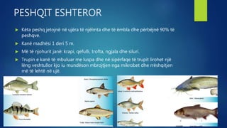 Peshqit D.Bushaj | PPTX