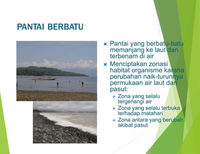 Pesisir 06 PENGEMBANGAN KAWASAN PESISIR | PPT
