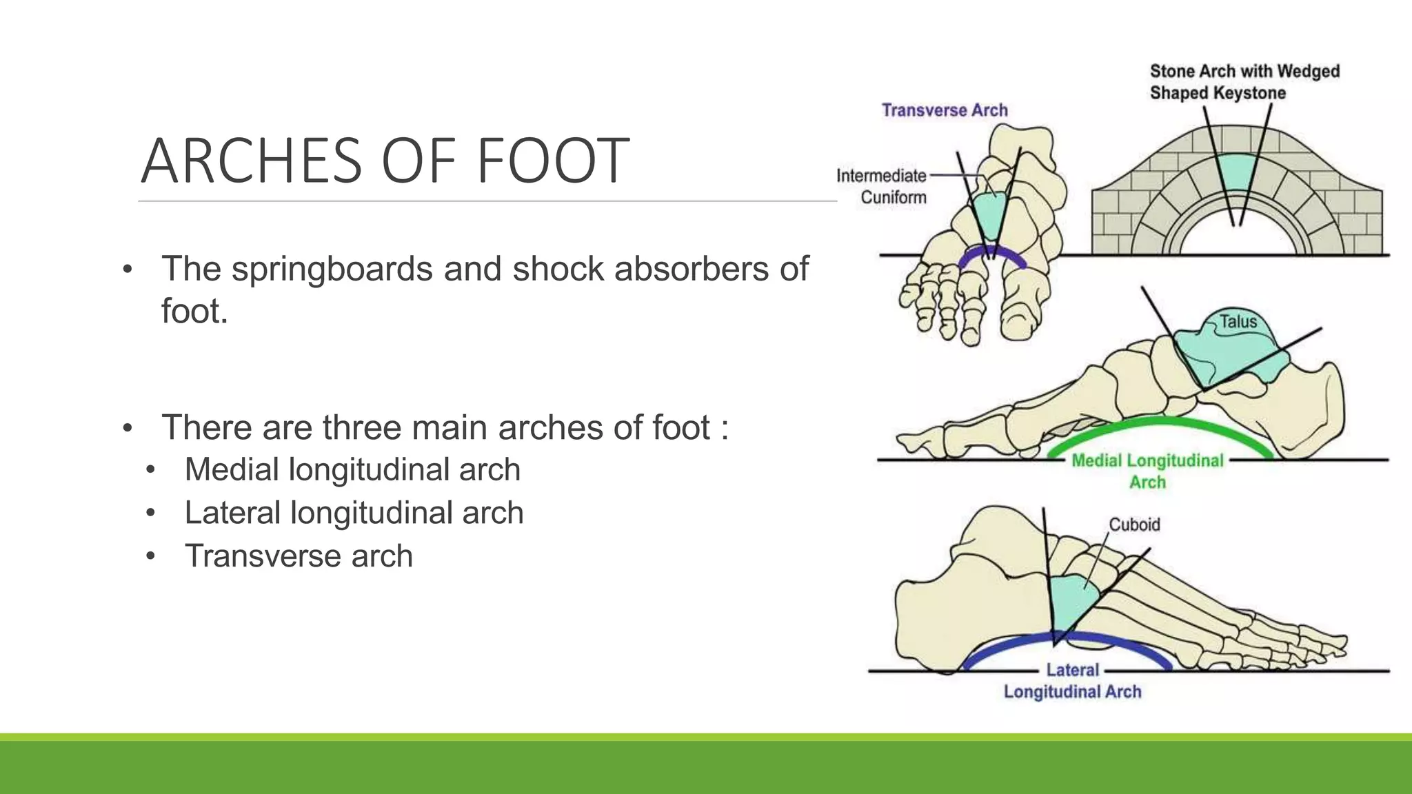 Pes planus and pes valgus | PPTX