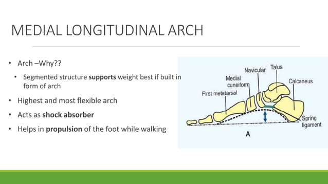 Pes planus and pes valgus | PPTX