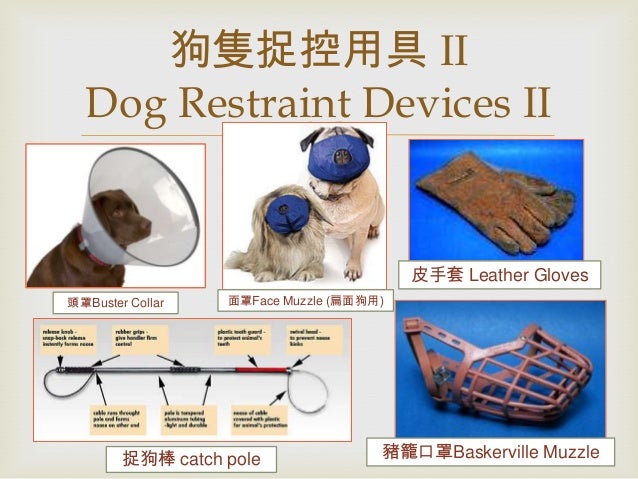 Module 2 - Animal Behavior & Restraint