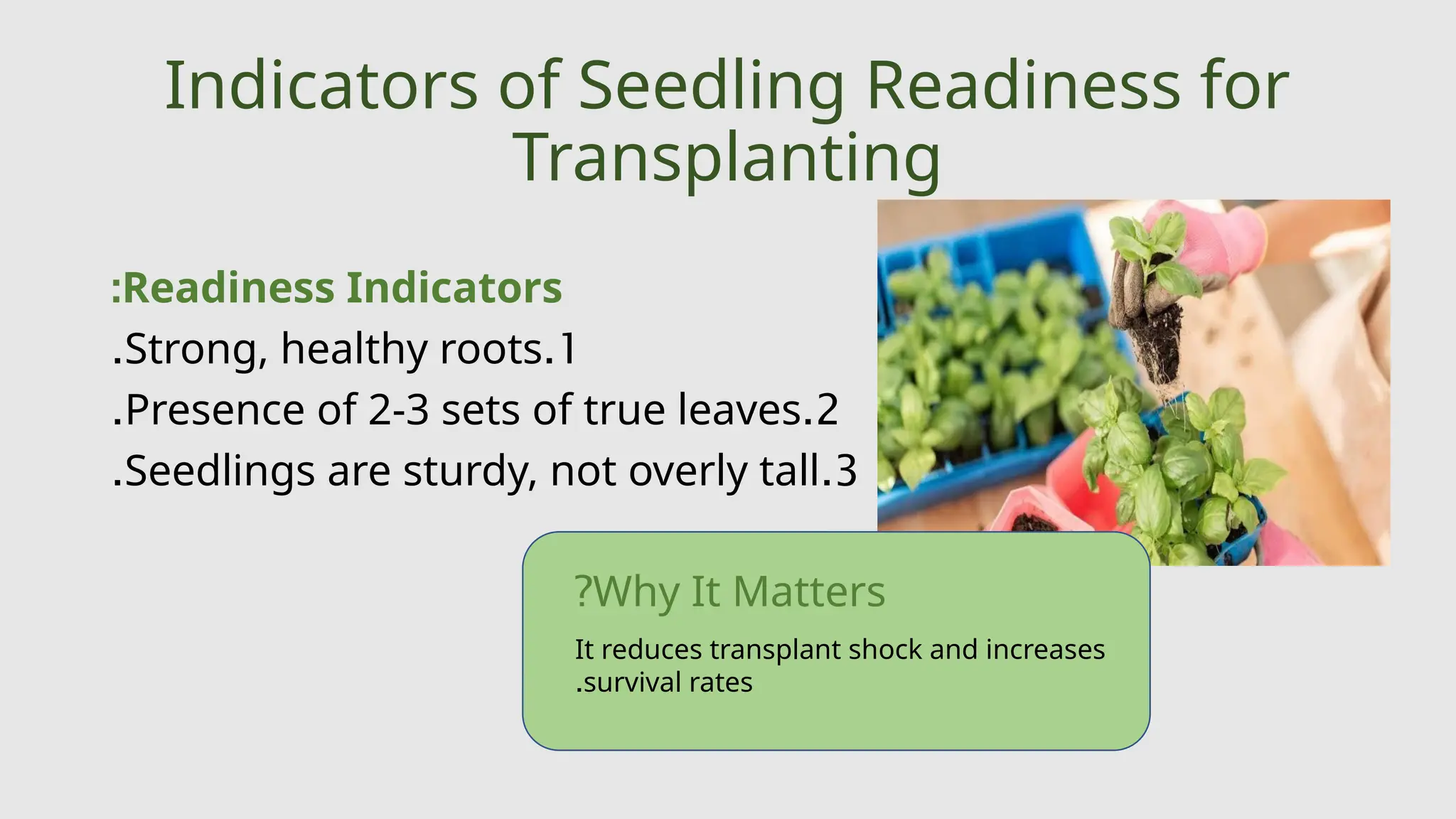 pest and disease Management & Harvesting and Transplanting.pptx