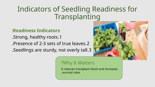 pest and disease Management & Harvesting and Transplanting.pptx