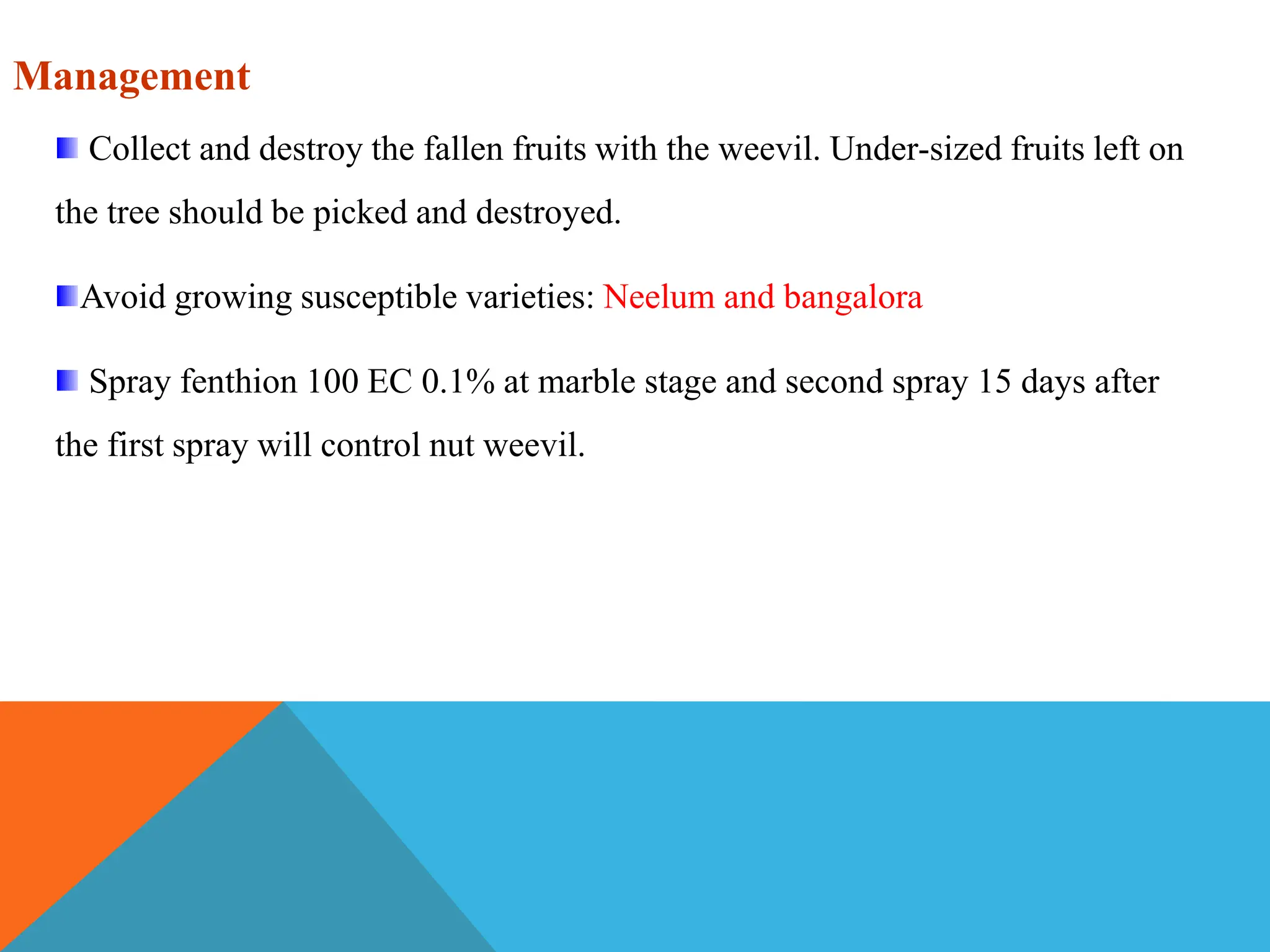 pest and disease of mango & symptoms.ppt