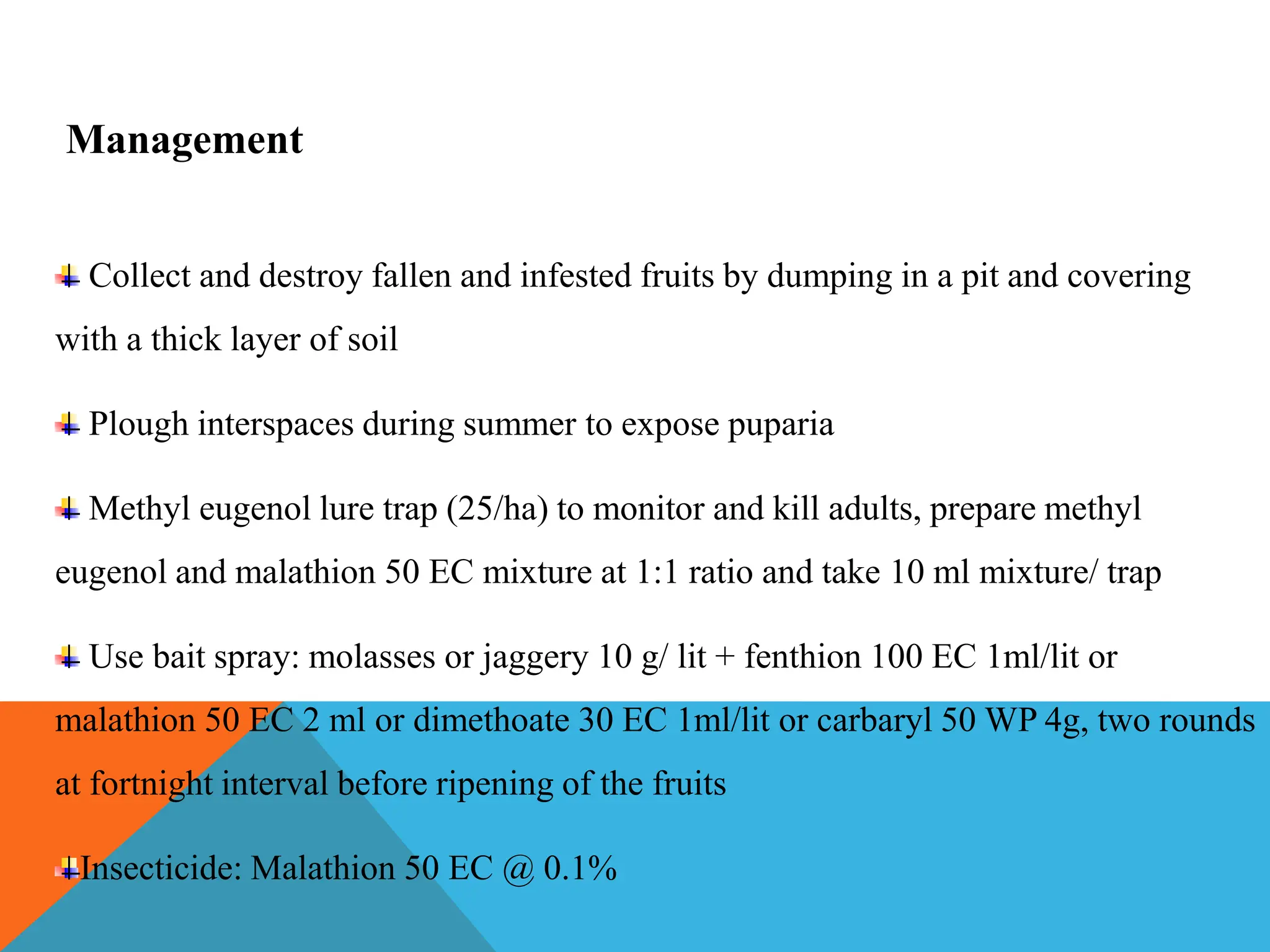 pest and disease of mango & symptoms.ppt