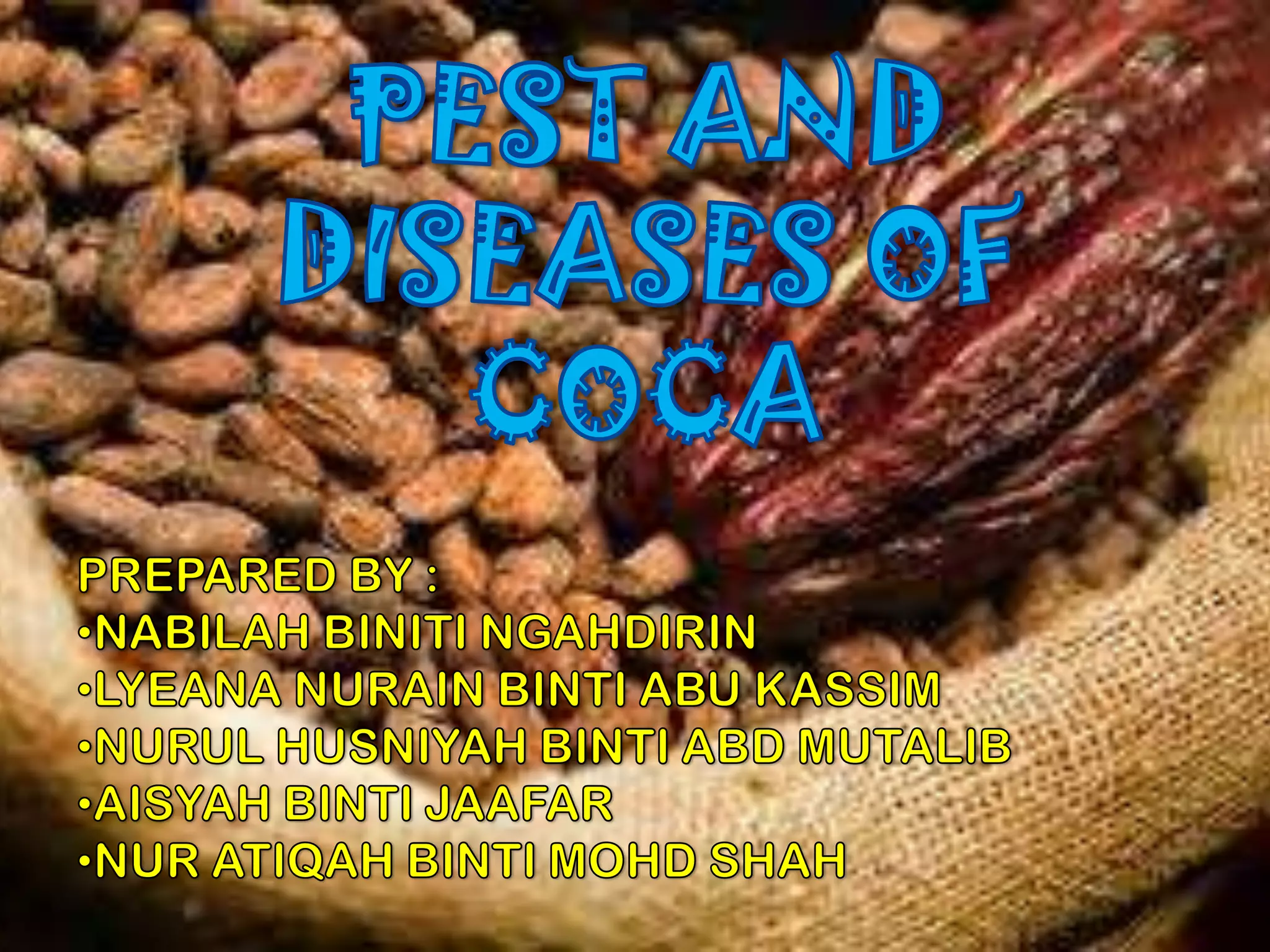 Pest and diseases of cocoa (presentation) | PPTX