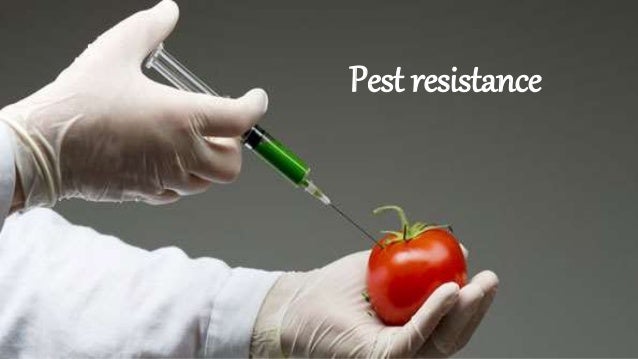 Pest and herbicide resistance