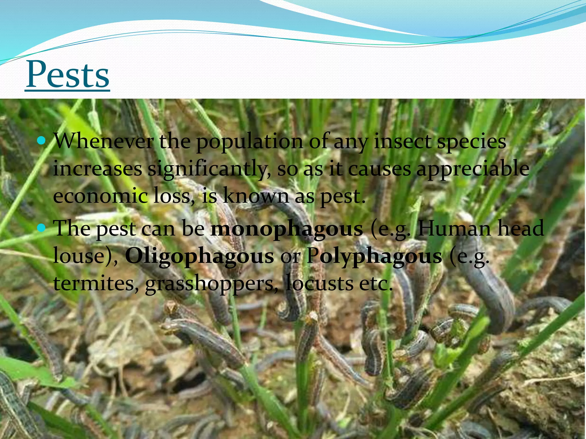 Pest and their control procedures | PPTX