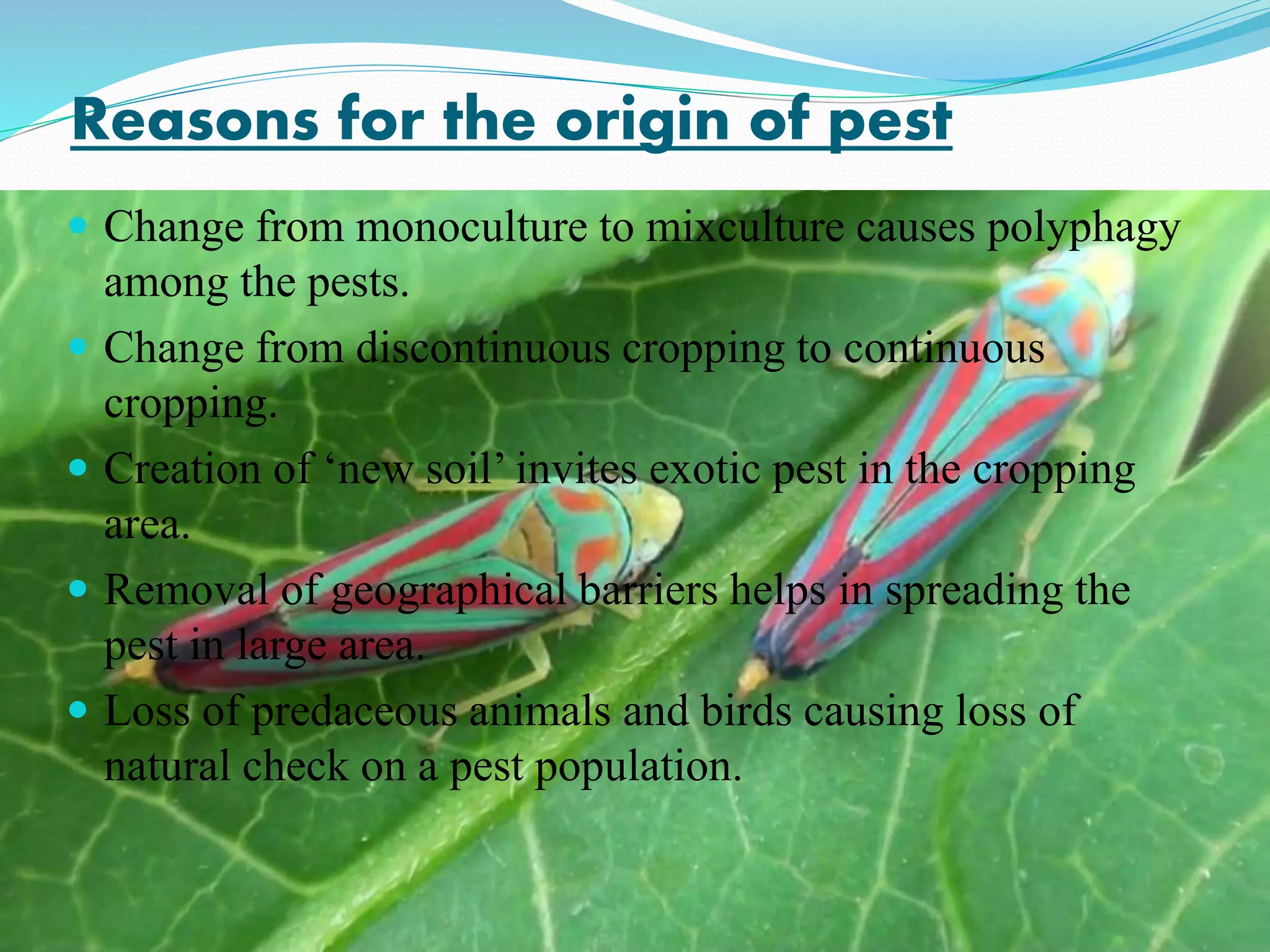 Pest and their control procedures | PPTX
