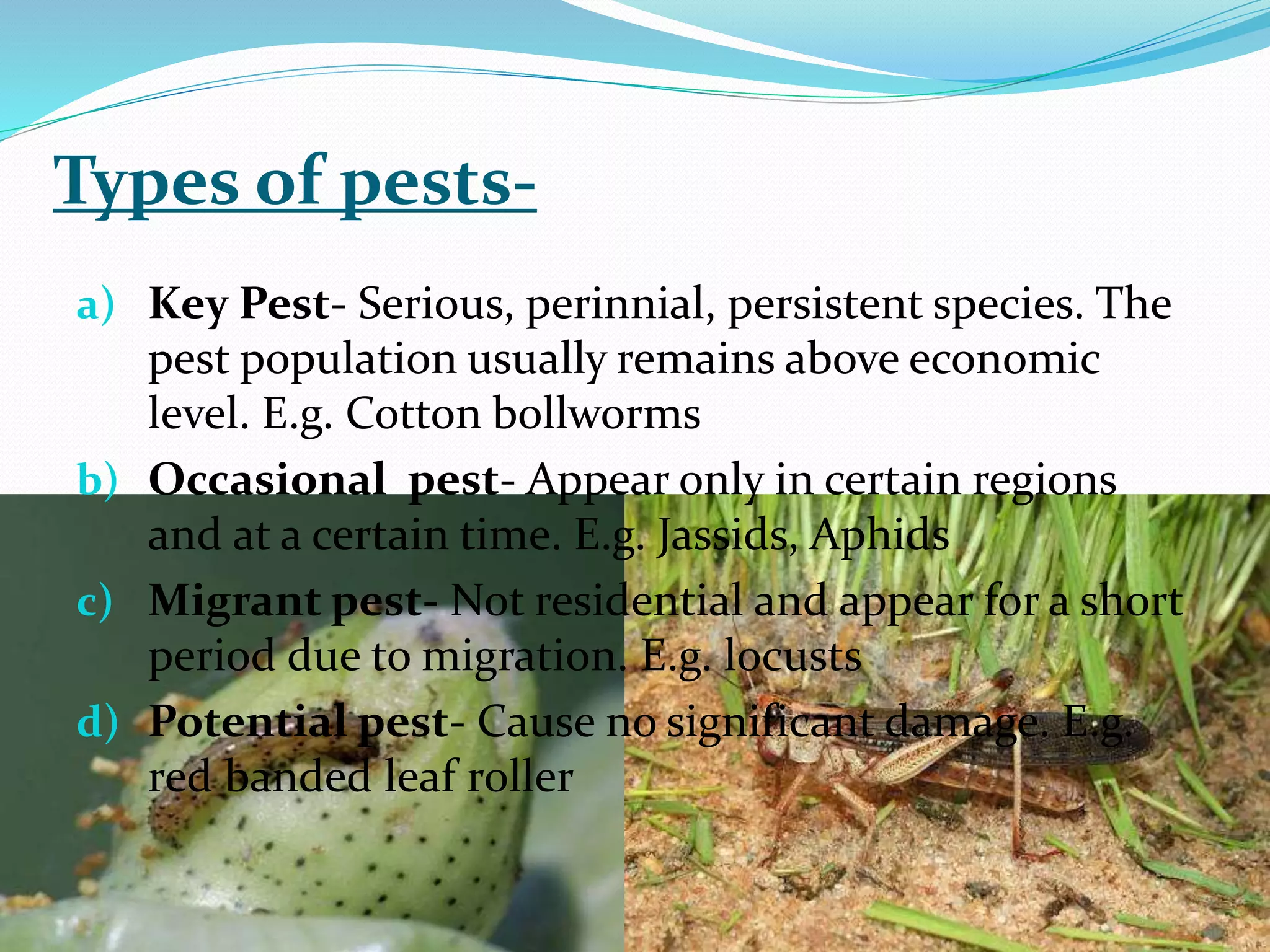 Pest and their control procedures | PPTX