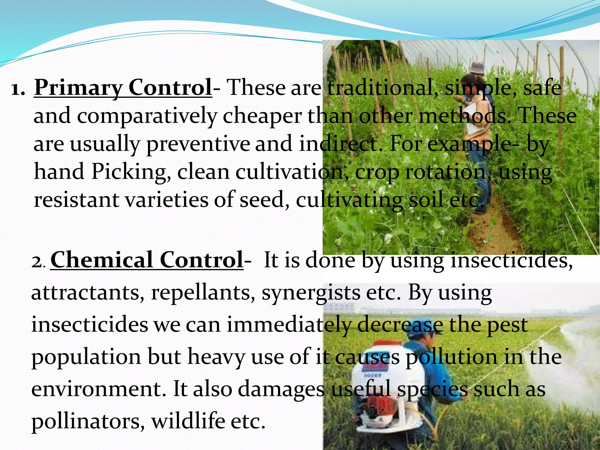 Pest and their control procedures | PPTX