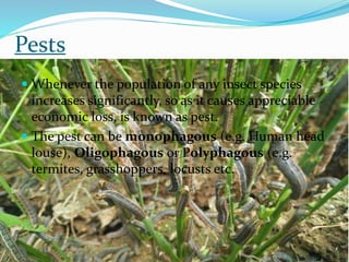 Pest and their control procedures | PPTX