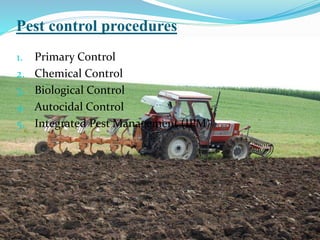 Pest and their control procedures | PPTX