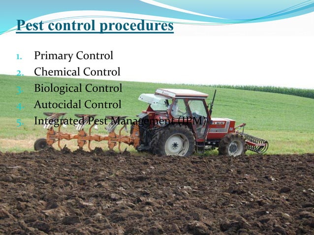 Pest and their control procedures | PPTX | Agriculture | Industries