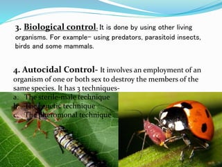Pest and their control procedures | PPTX