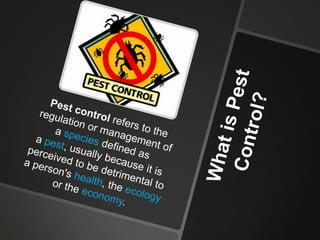 Pest control | PPT