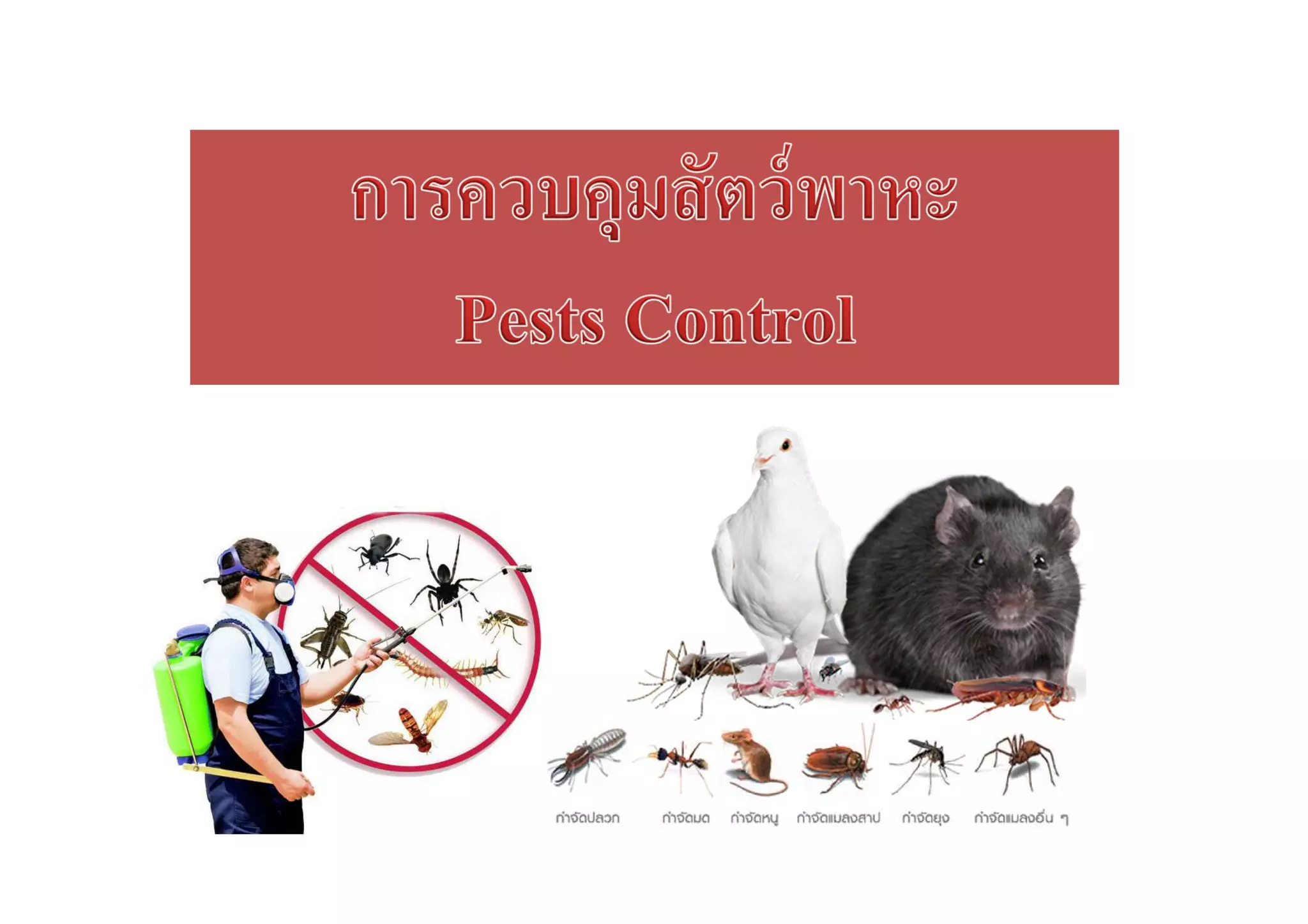 Pest control | PDF