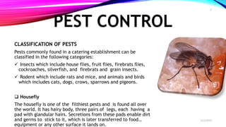 Pest control | PPTX