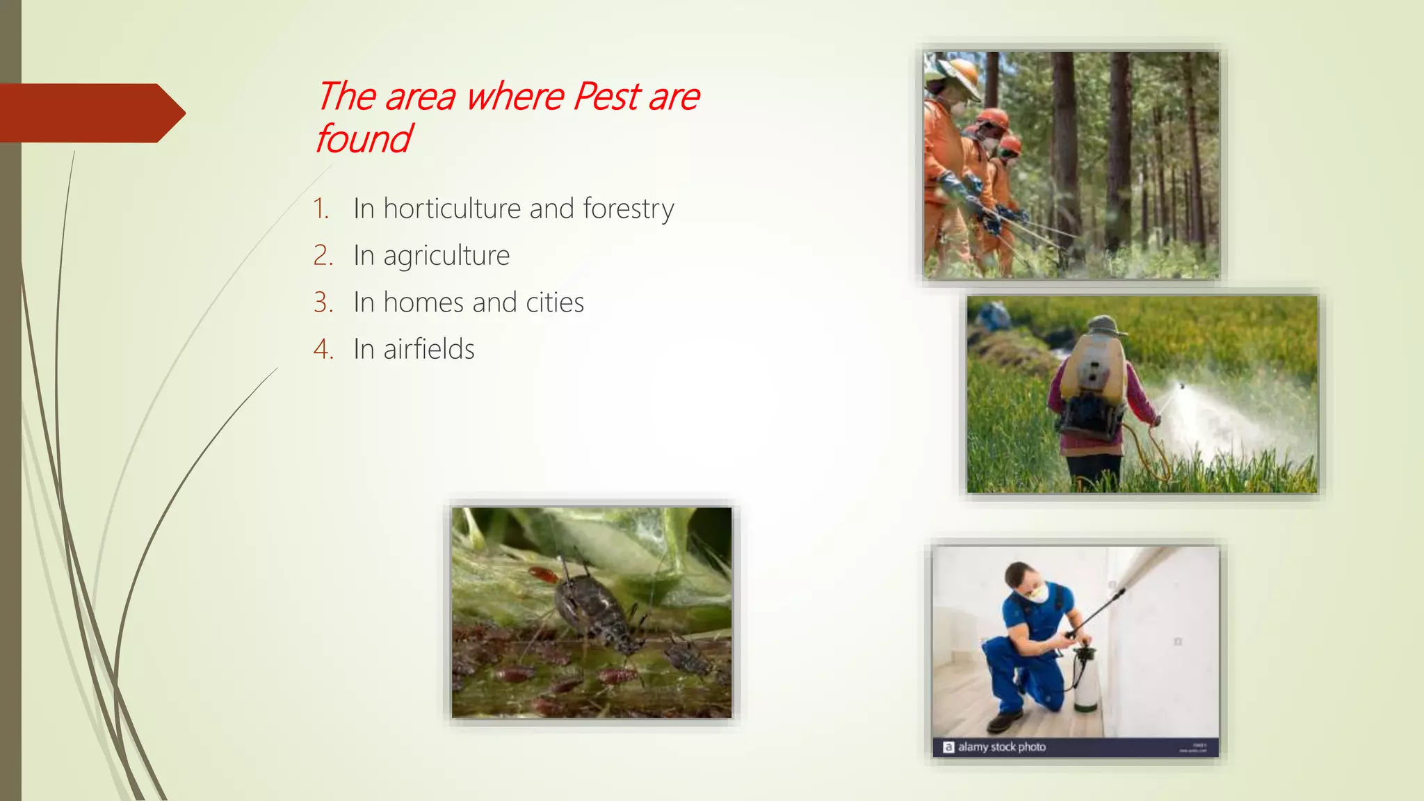 Pest control | PPT
